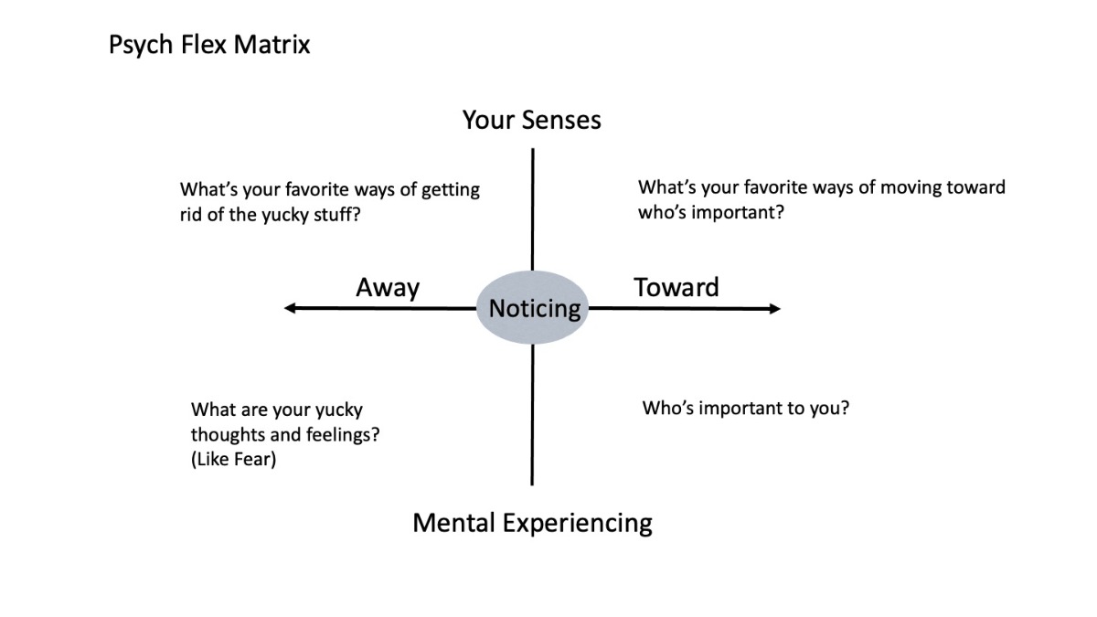 The ACT Matrix Targets Psychological Flexibility - crowdcast
