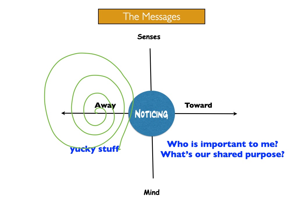 1 CCMT: The Shared Purpose Project - crowdcast