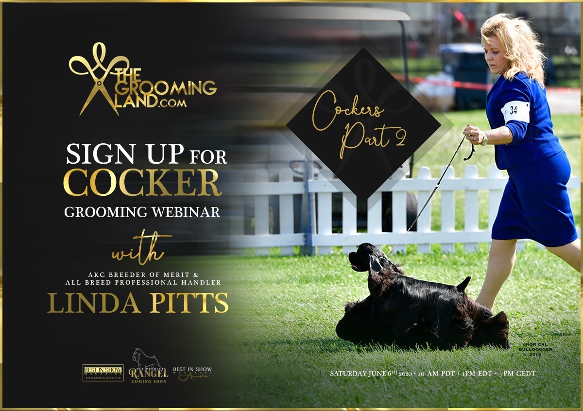 Cocker Grooming Webinar with Linda Pitts - Part 2 - crowdcast