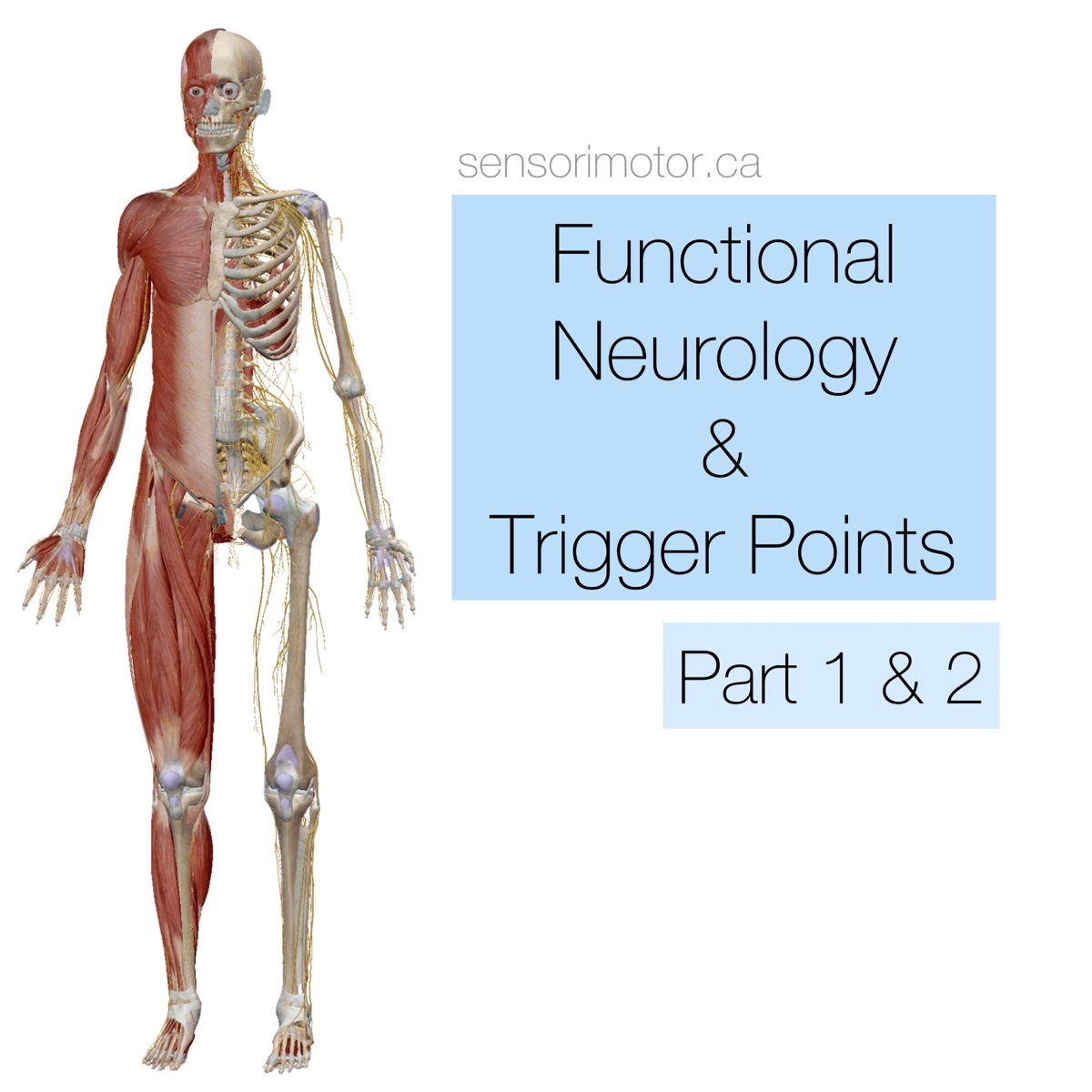 Simple Functional Neurology - crowdcast