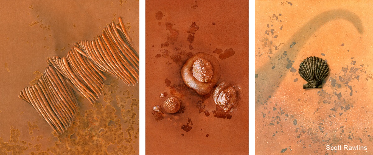 GNSI Ed Series Presents "A Seasoned Surface: Mimicking the look of ...