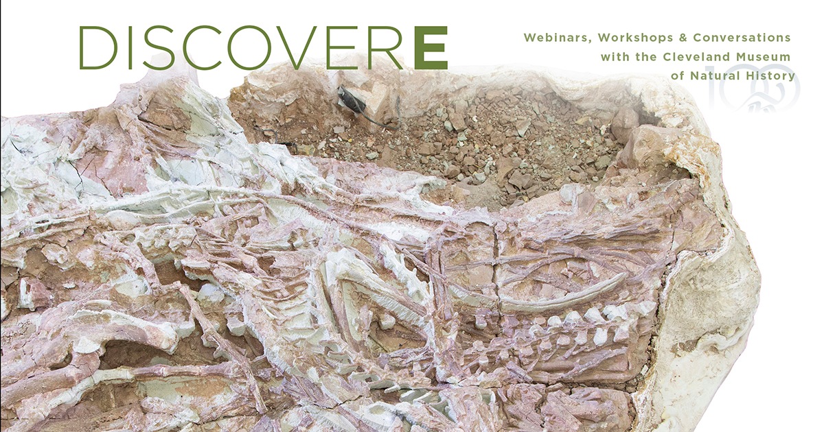 FOSSILS FOR KIDS Dr. Caitlin Colleary, Assistant Curator of Vertebrate ...