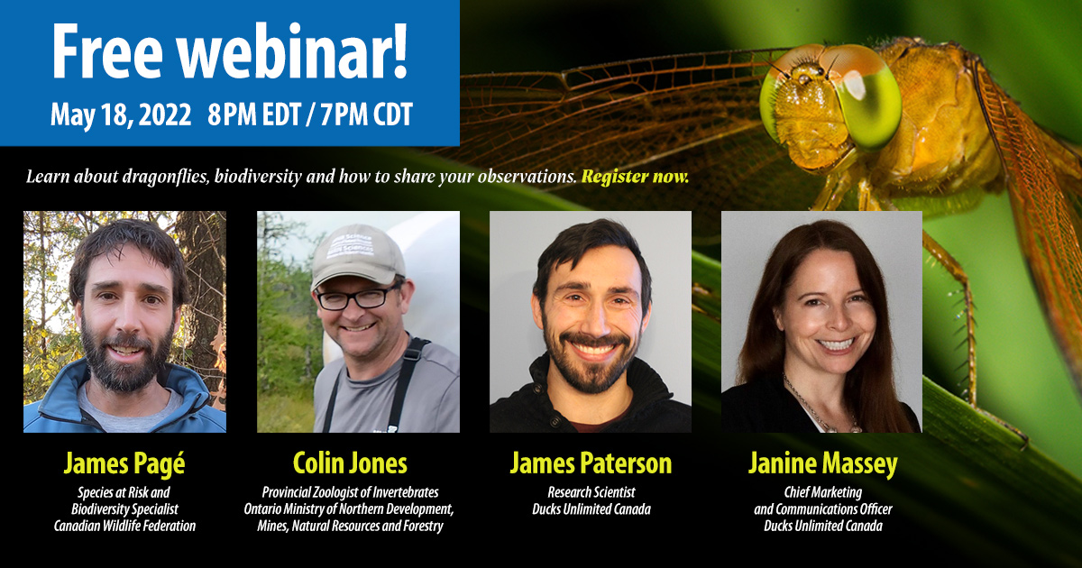 Project Dragonfly Webinar - crowdcast