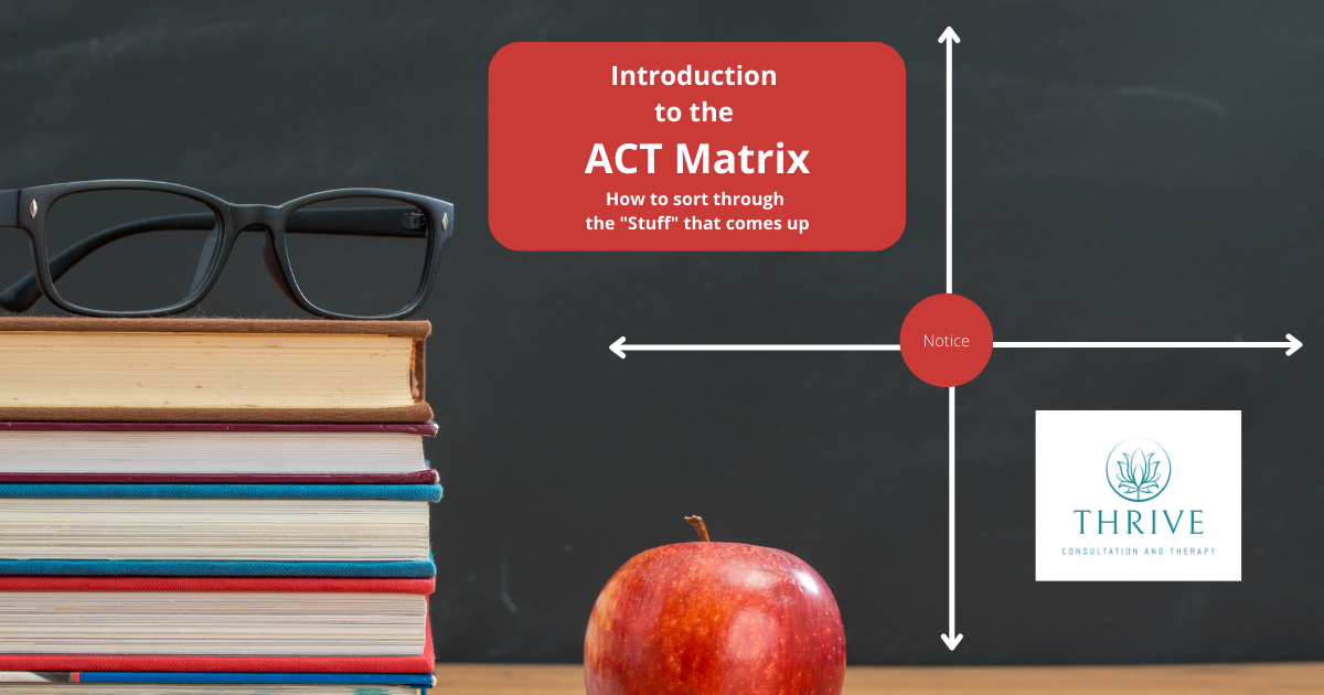Intro to the ACT Matrix: How to sort through the "Stuff" that comes up ...